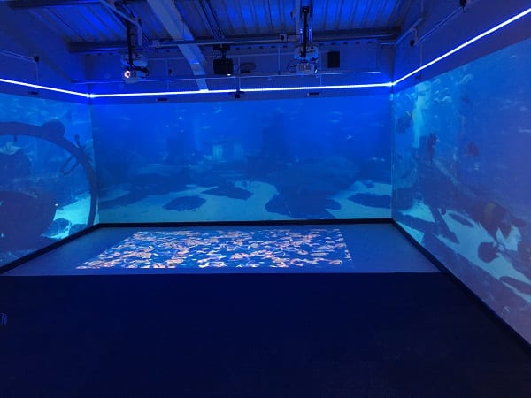Immersive Sensory Room Corner Package - Sense Sensory